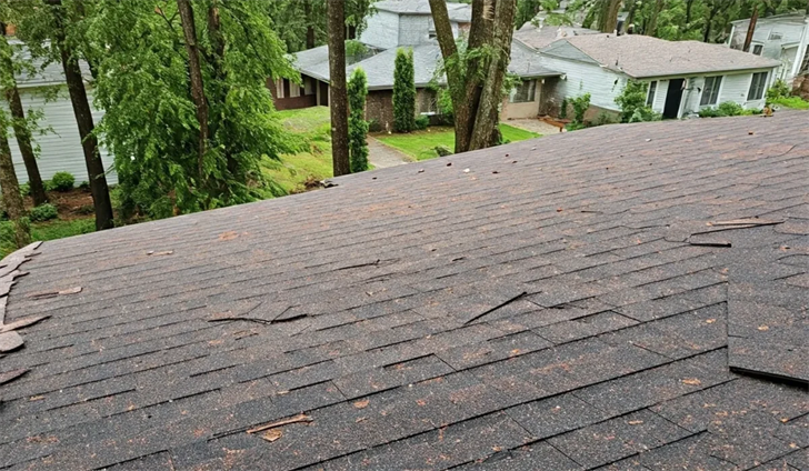 5 Steps to Take After Severe Weather Damages Your Roof in Columbus ...