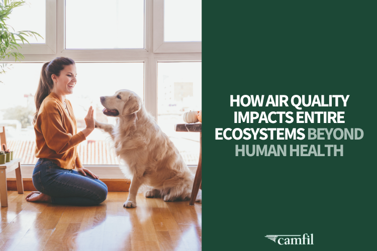 Camfil USA Explores How Air Quality Impacts Entire Ecosystems Beyond ...